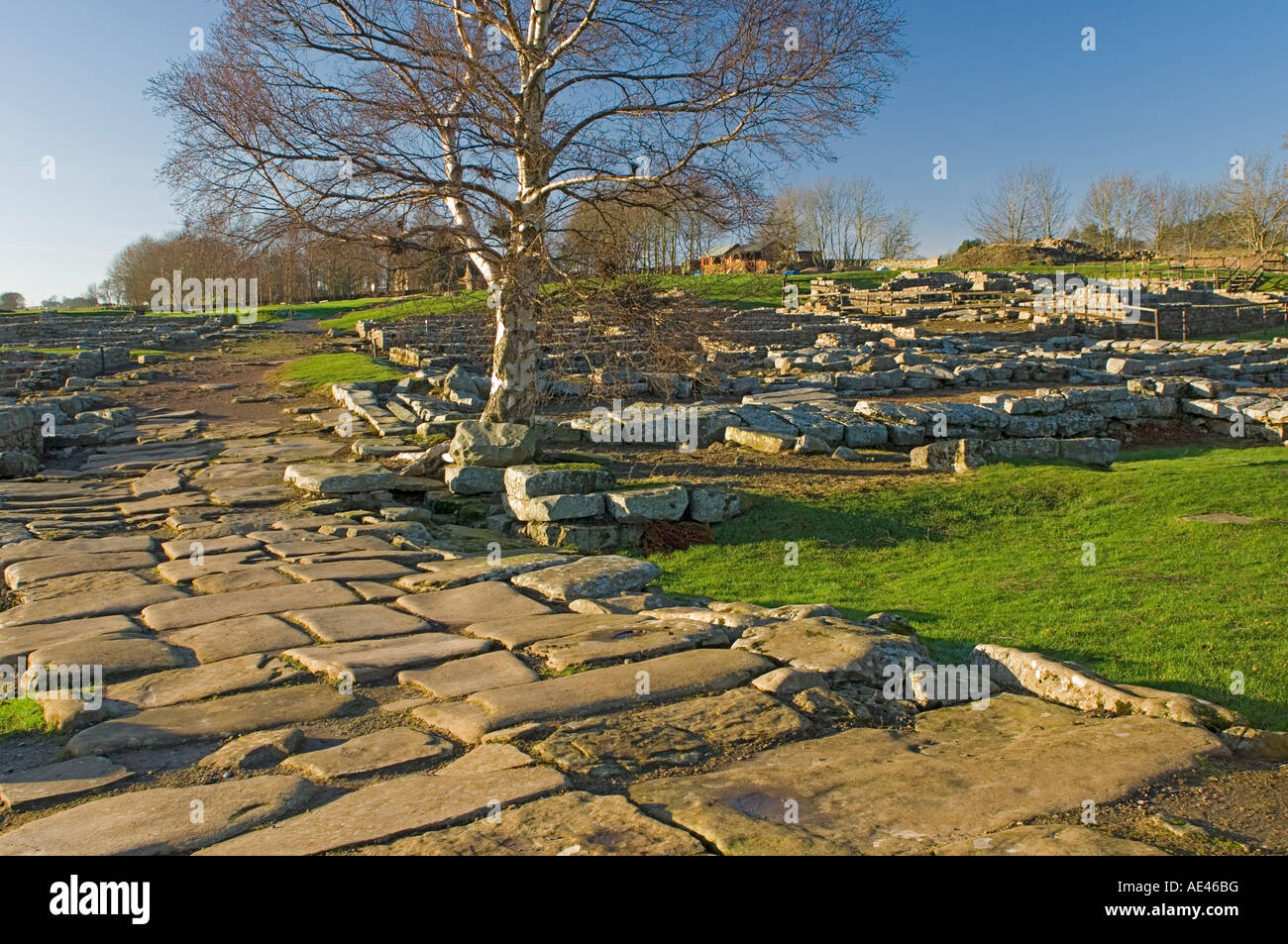 Paved roadway, Via Praetoria, Roman settlement and fort at Vindolanda ...