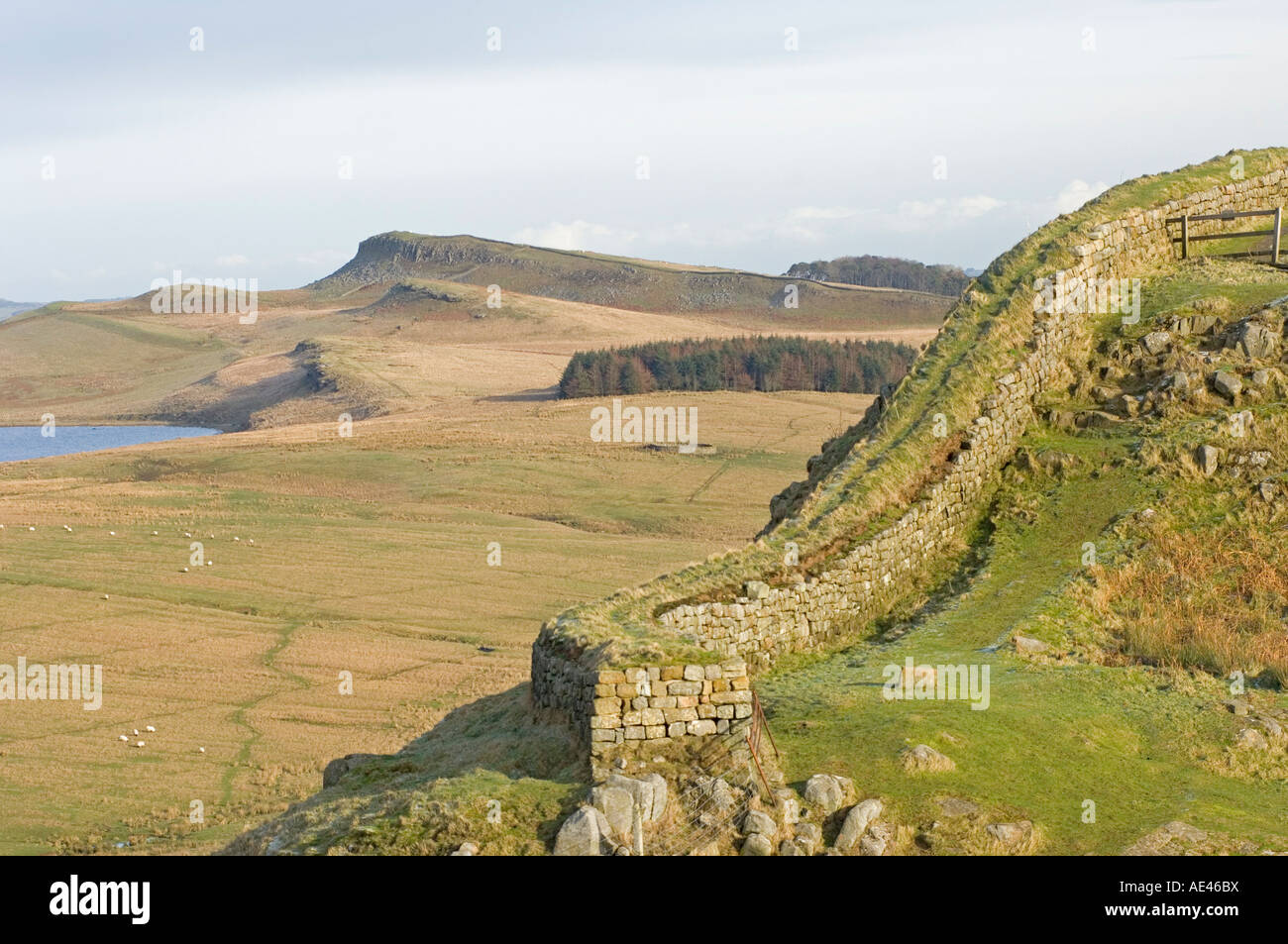 Looking east from Cuddy's Crag end to Sewingshields Crag and Broomlee ...