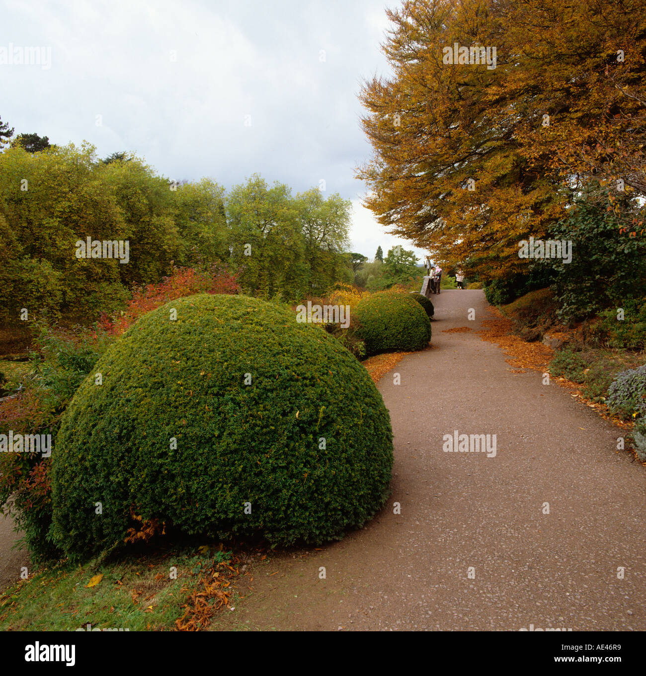 Wales Cardiff St Fagans National Museum of Welsh Life Folk Museum path ...