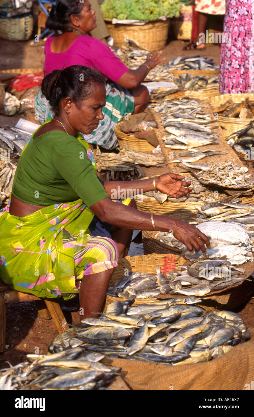 India Goa Mapusa market fish section of the weekly market Stock Photo ...