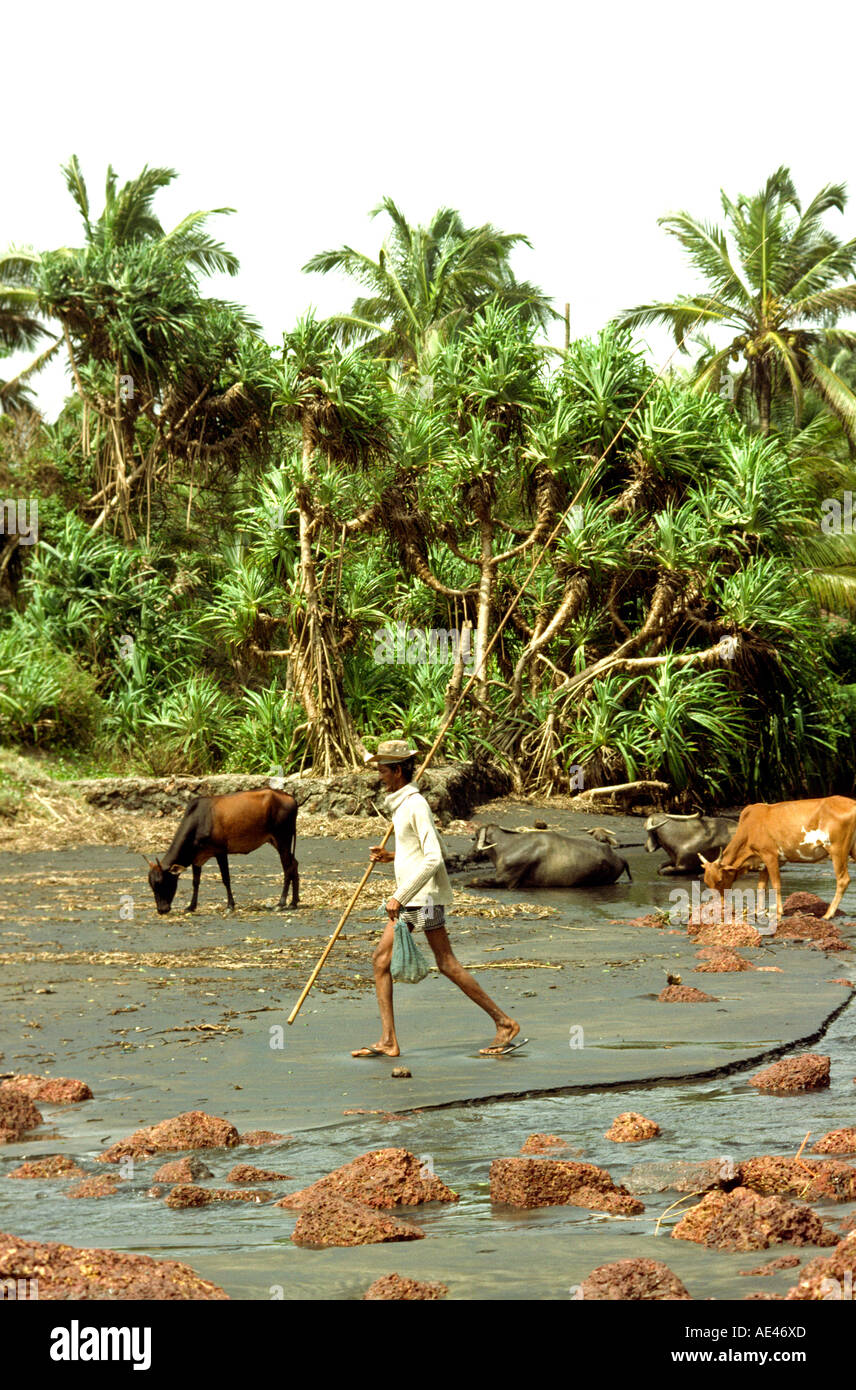 North indian man on goa beach hi-res stock photography and images - Alamy