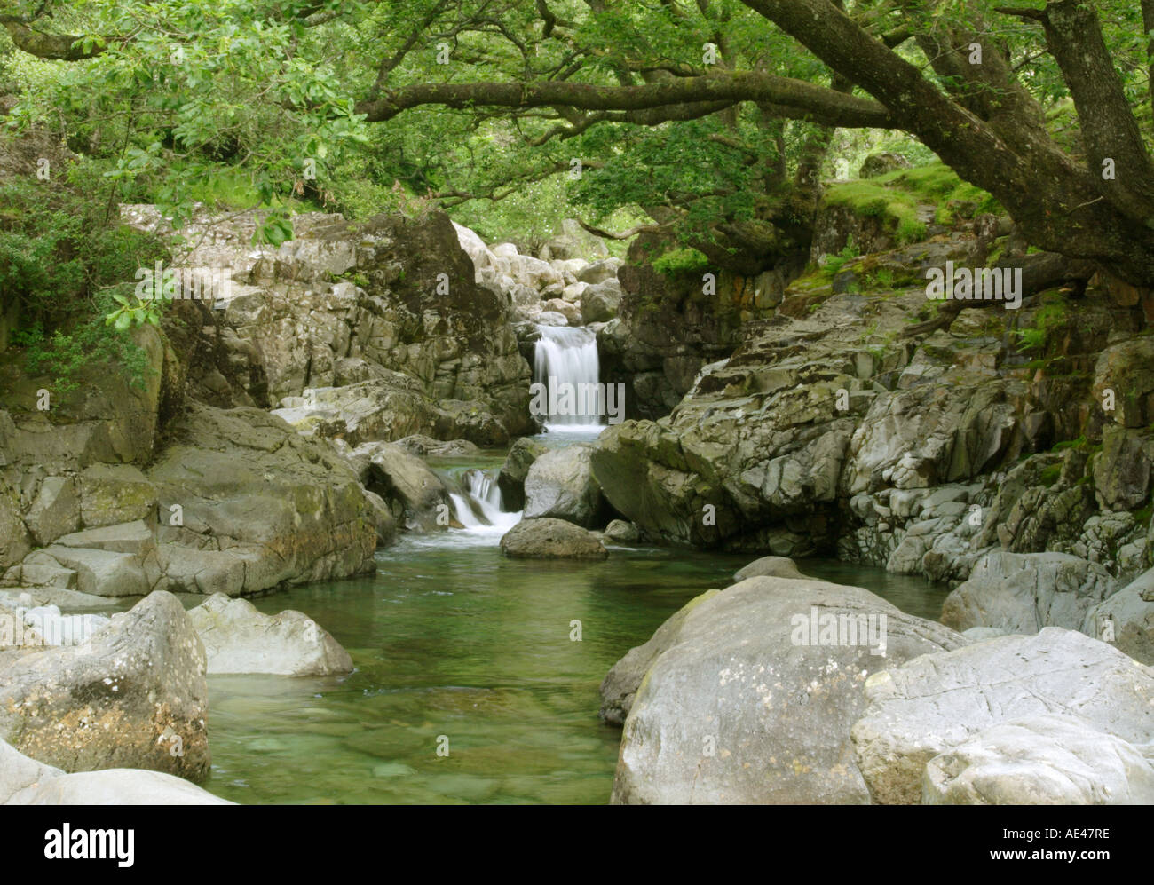 Galleny force, Borrowdale, Cumbria, Lake district National Park, UK ...