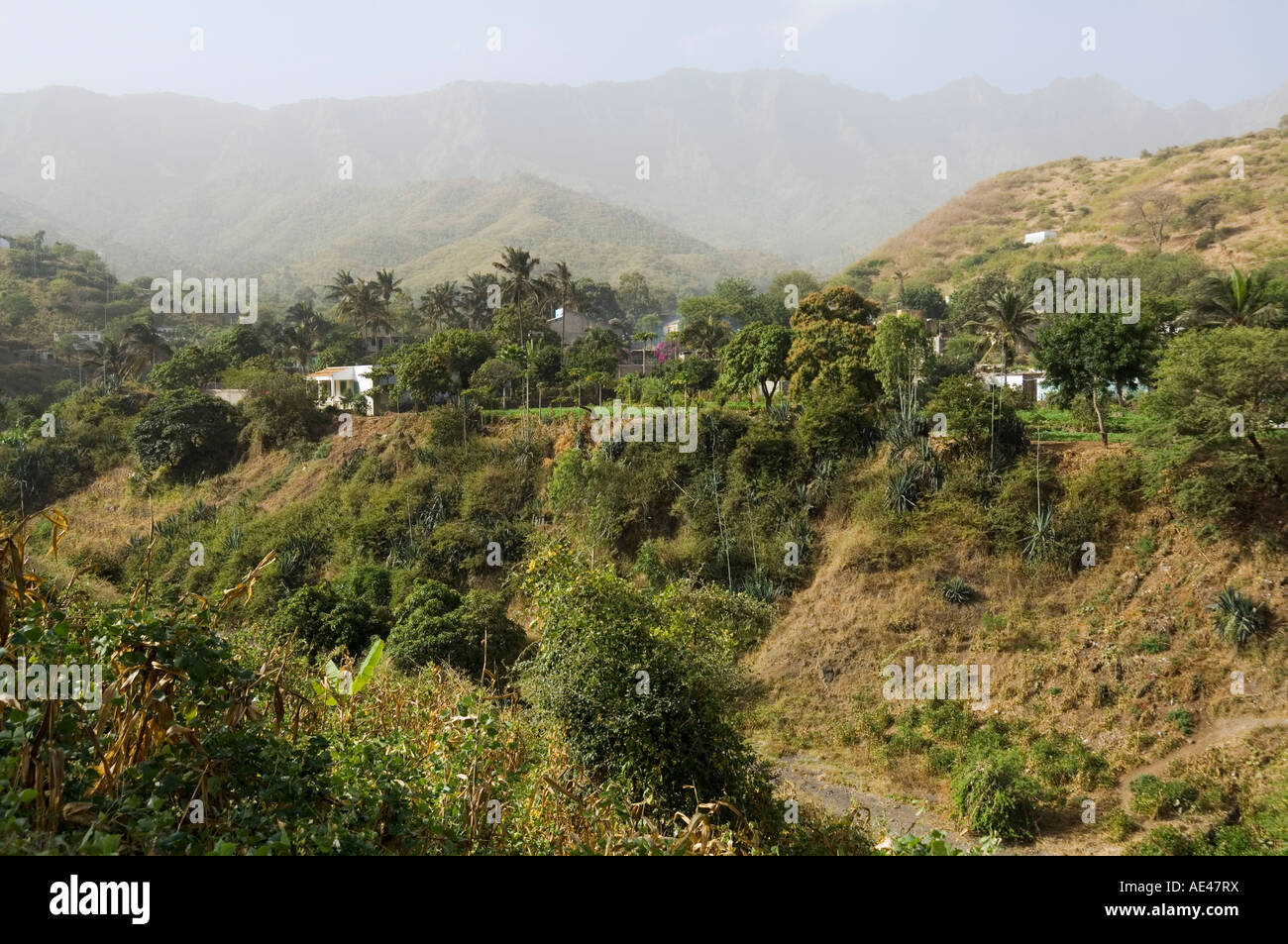 Agriculture, Santiago, Cape Verde Islands, Africa Stock Photo - Alamy