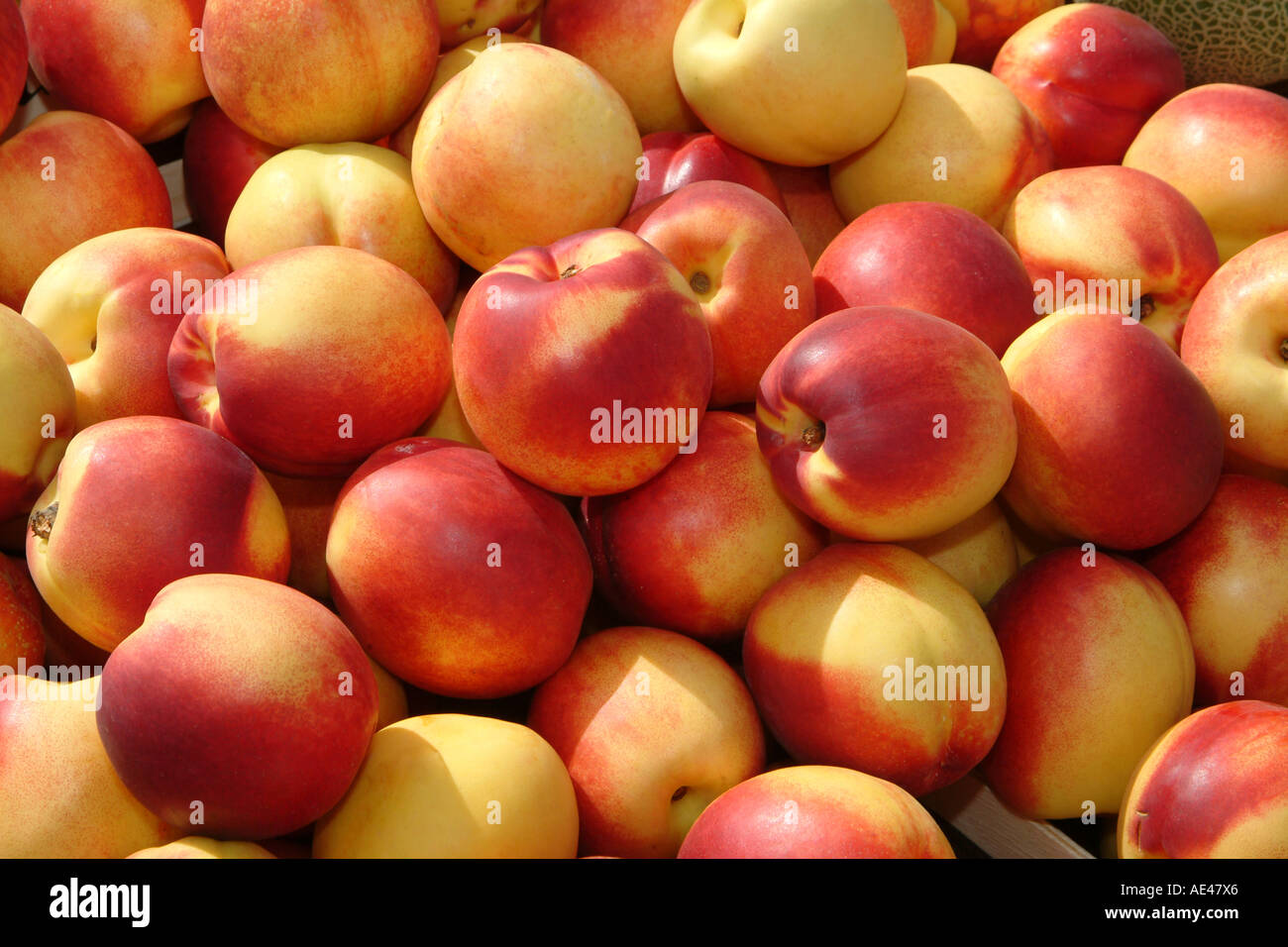 Fresh nectarines on a market stall Stock Photo - Alamy