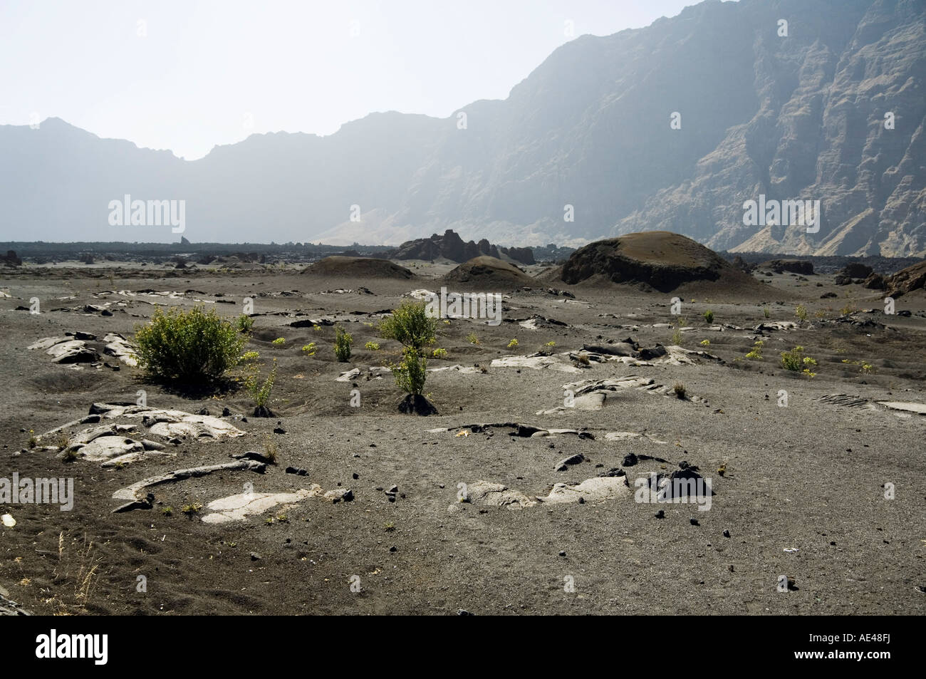 Fire soil hi-res stock photography and images - Alamy