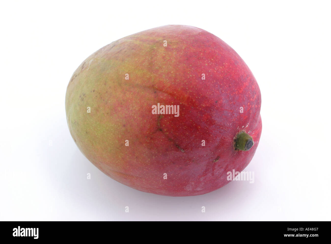 Large ripe mango on a white studio background Stock Photo - Alamy