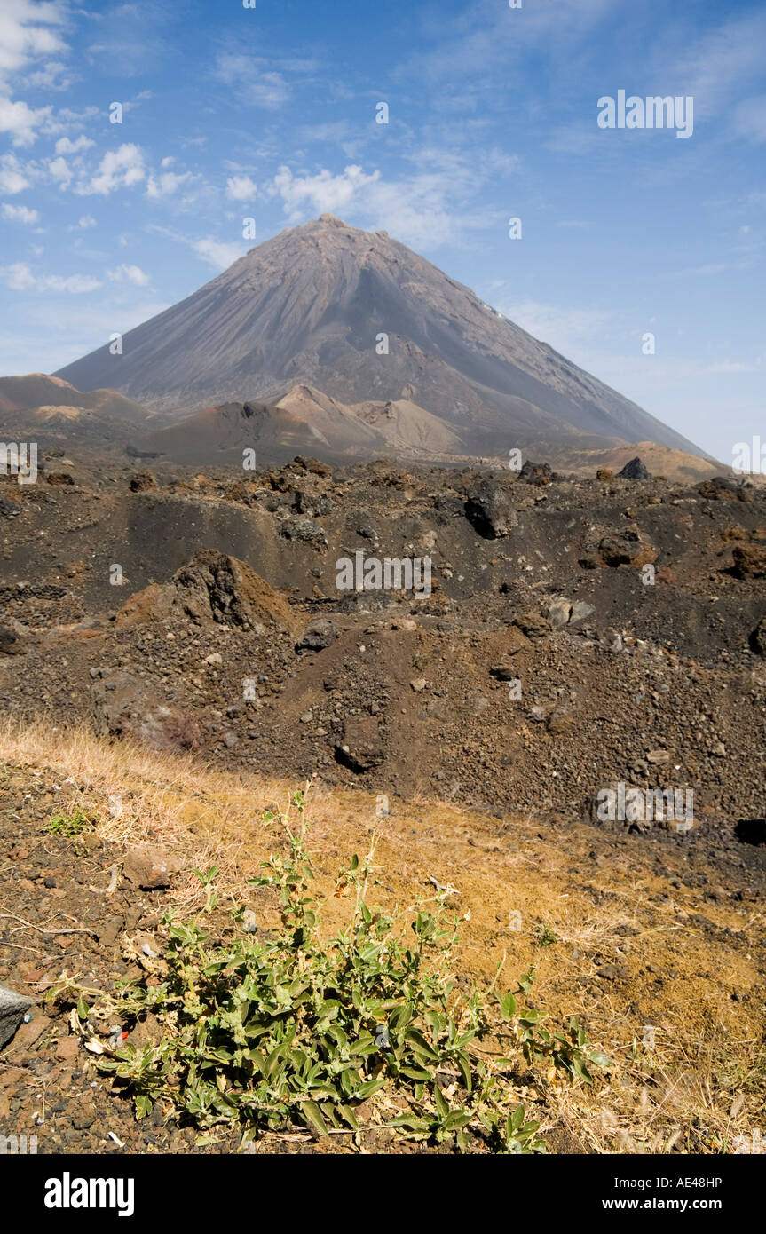 The volcano of Pico de Fogo in the background, Fogo (Fire), Cape Verde ...