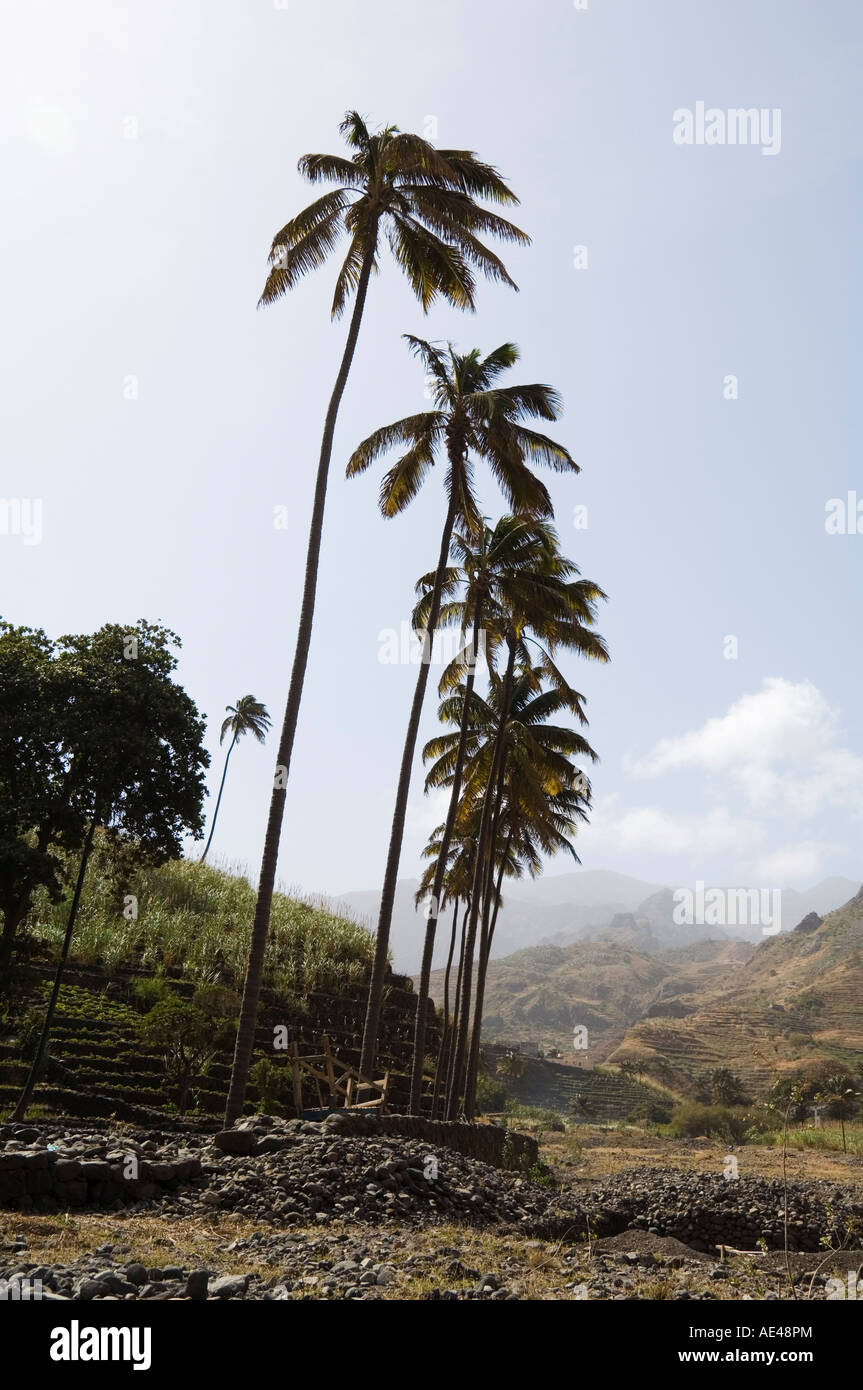 Ribiera grande cape verde hi-res stock photography and images - Alamy