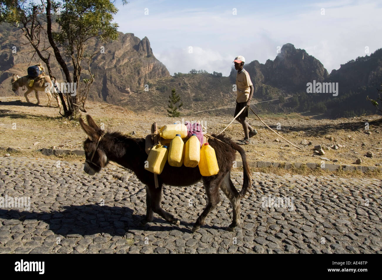 Donkey carrying water hi-res stock photography and images - Alamy