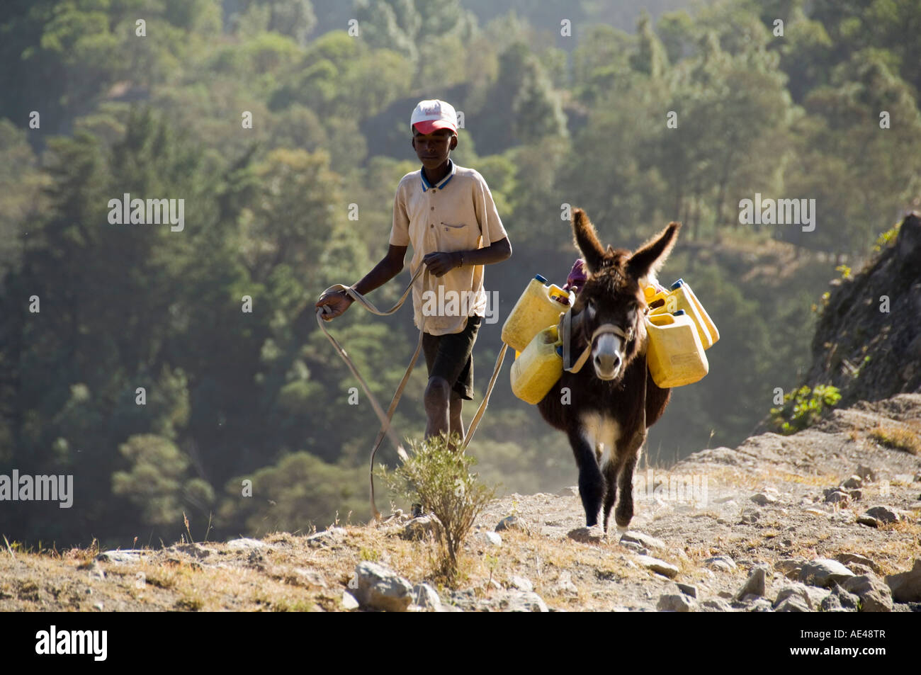 Donkeys carrying water hi-res stock photography and images - Alamy