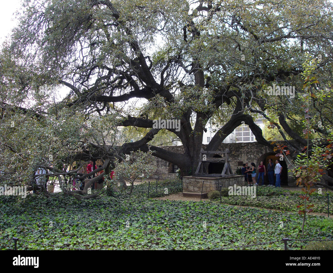Inside the Alamo San Antonio, Texas United States of America Stock ...