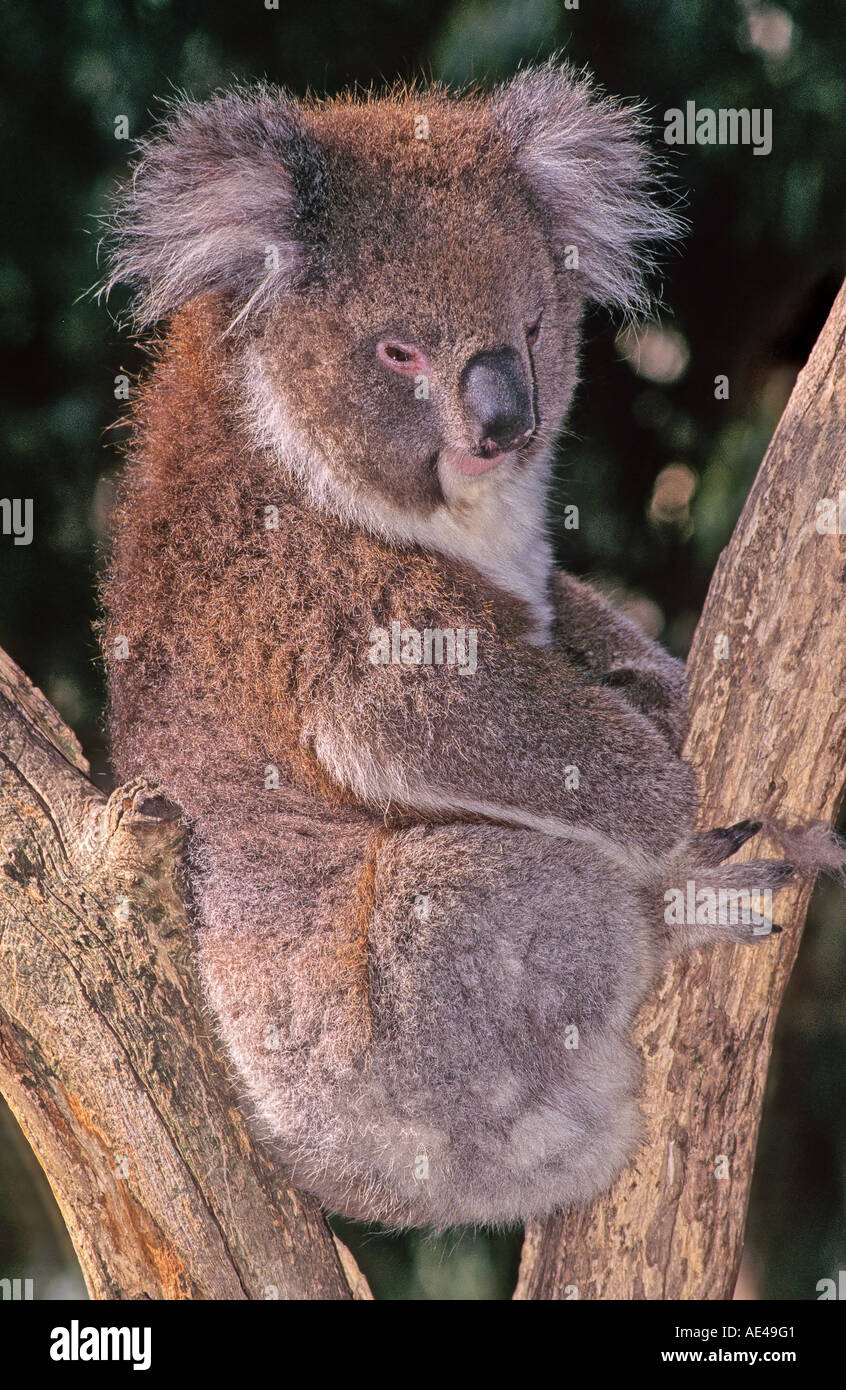 Typical position hi-res stock photography and images - Alamy