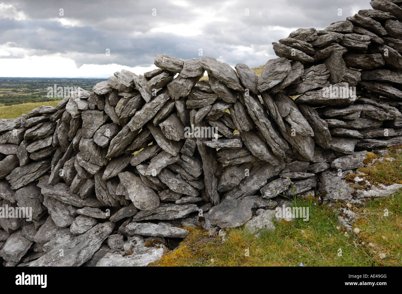 Dry stone wall on The Burren, County Clare, Munster, Republic of ...