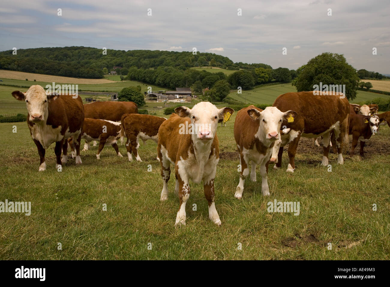 Bledlow High Resolution Stock Photography and Images - Alamy