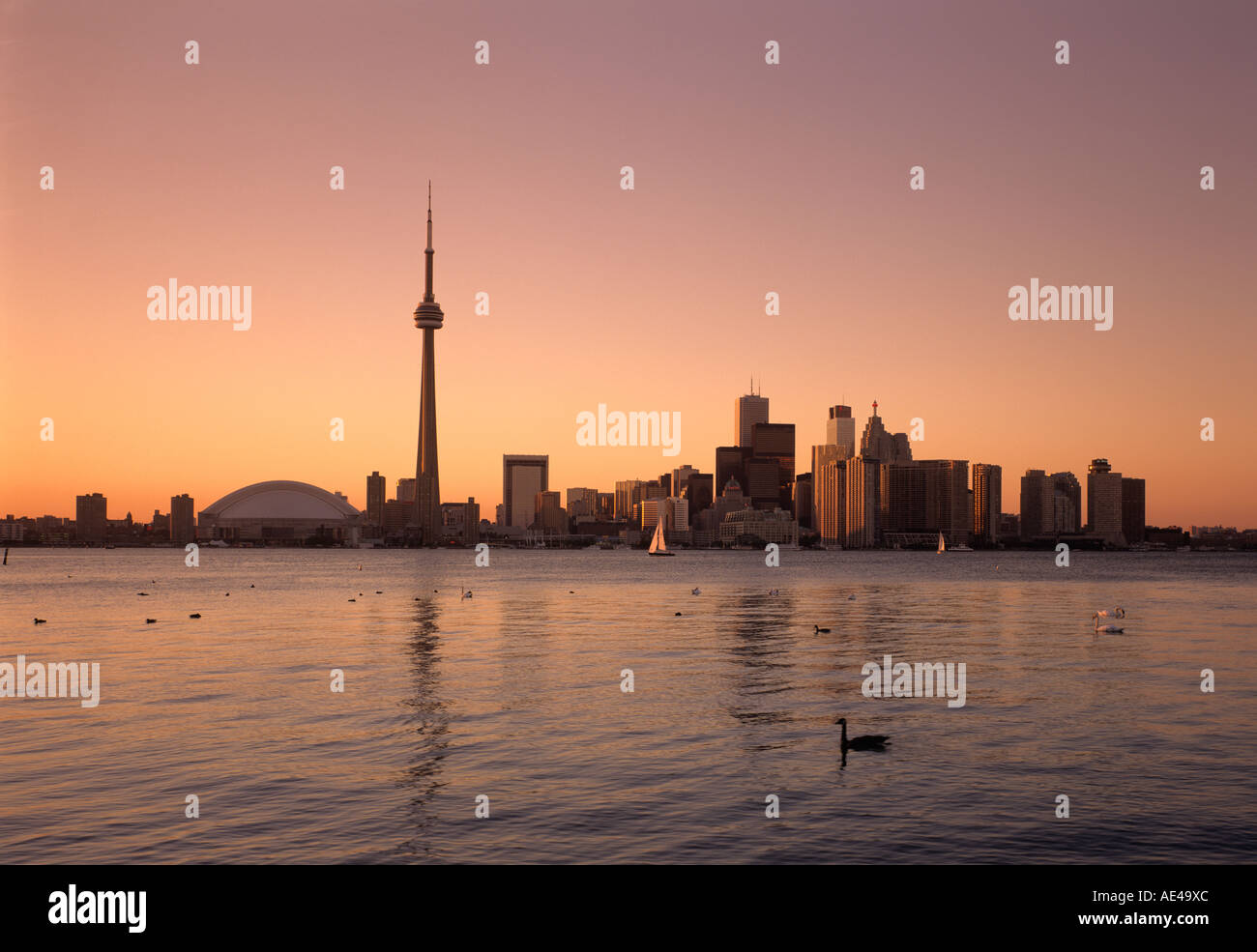 Canada, Toronto skyline at sunset Stock Photo - Alamy