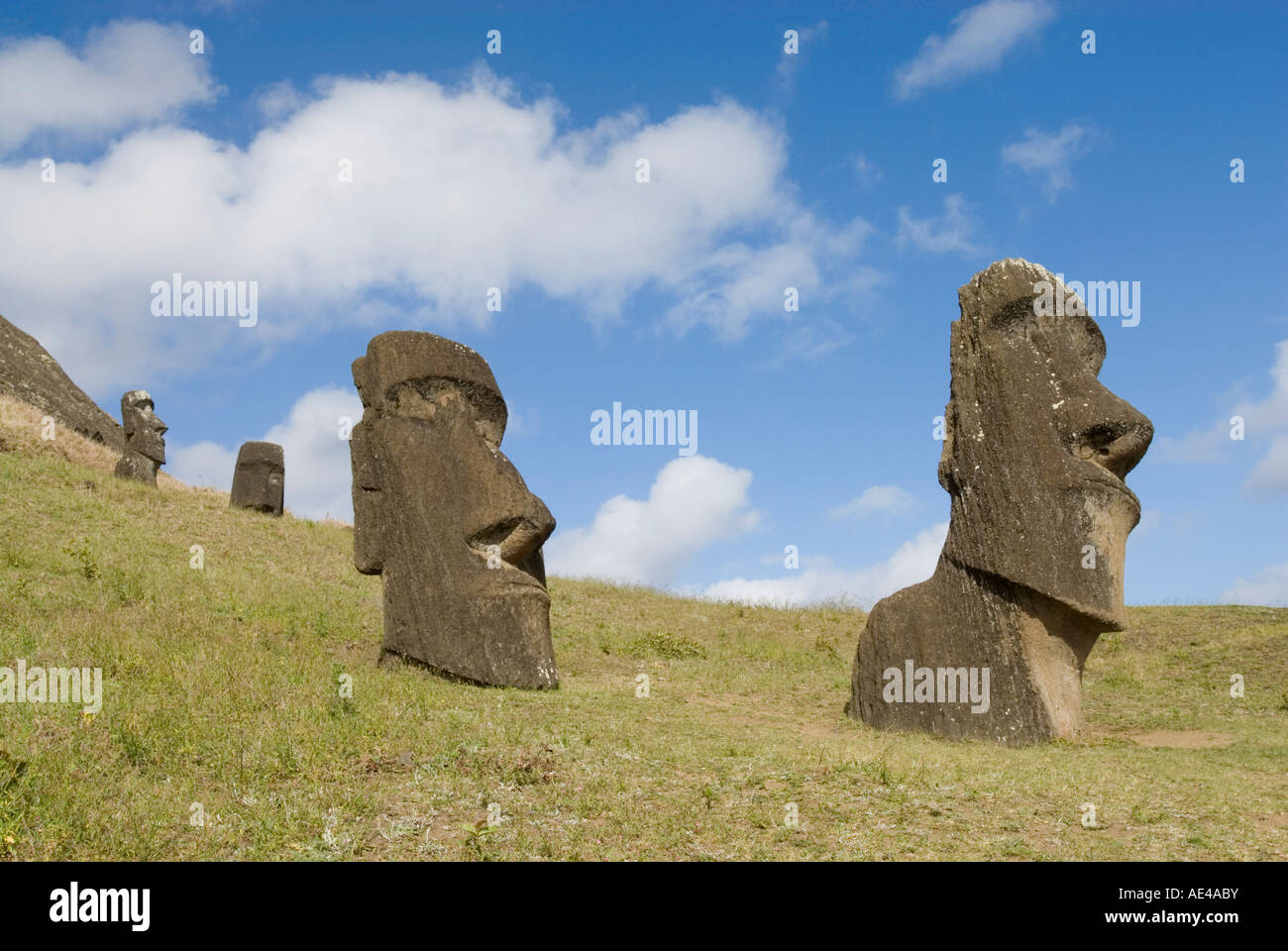 Moai Quarry, Rano Raraku Volcano, UNESCO World Heritage Site, Easter ...