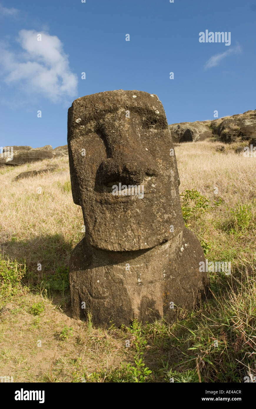 Moai quarry, Rano Raraku Volcano, Easter Island (Rapa Nui), UNESCO ...