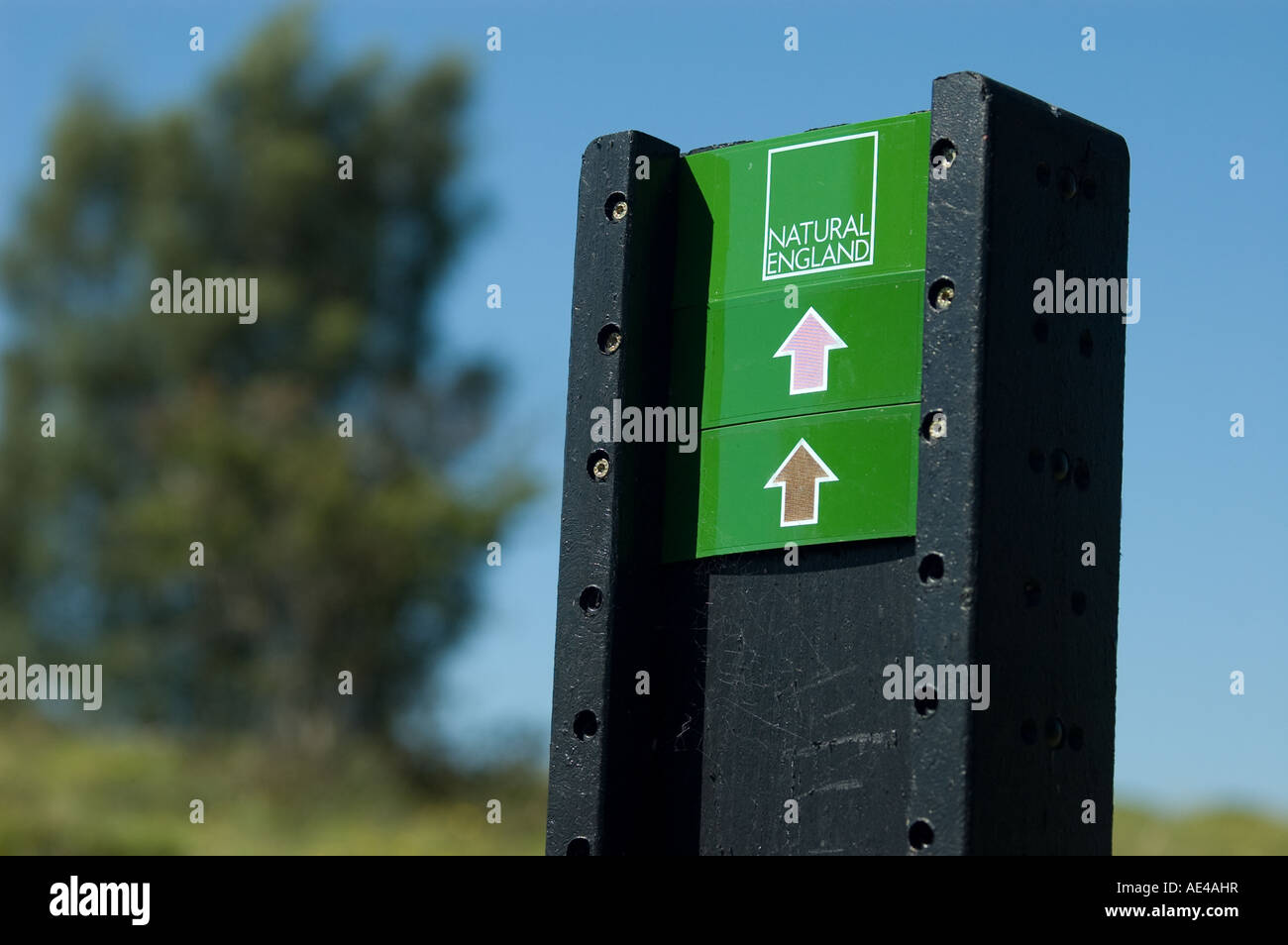 close up of an english nature sign post Stock Photo - Alamy