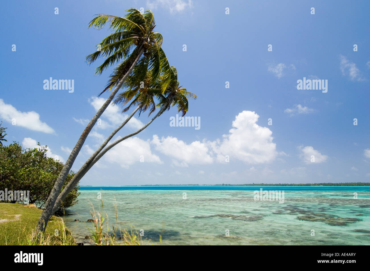 Bora-Bora, Leeward group, Society Islands, French Polynesia, Pacific ...