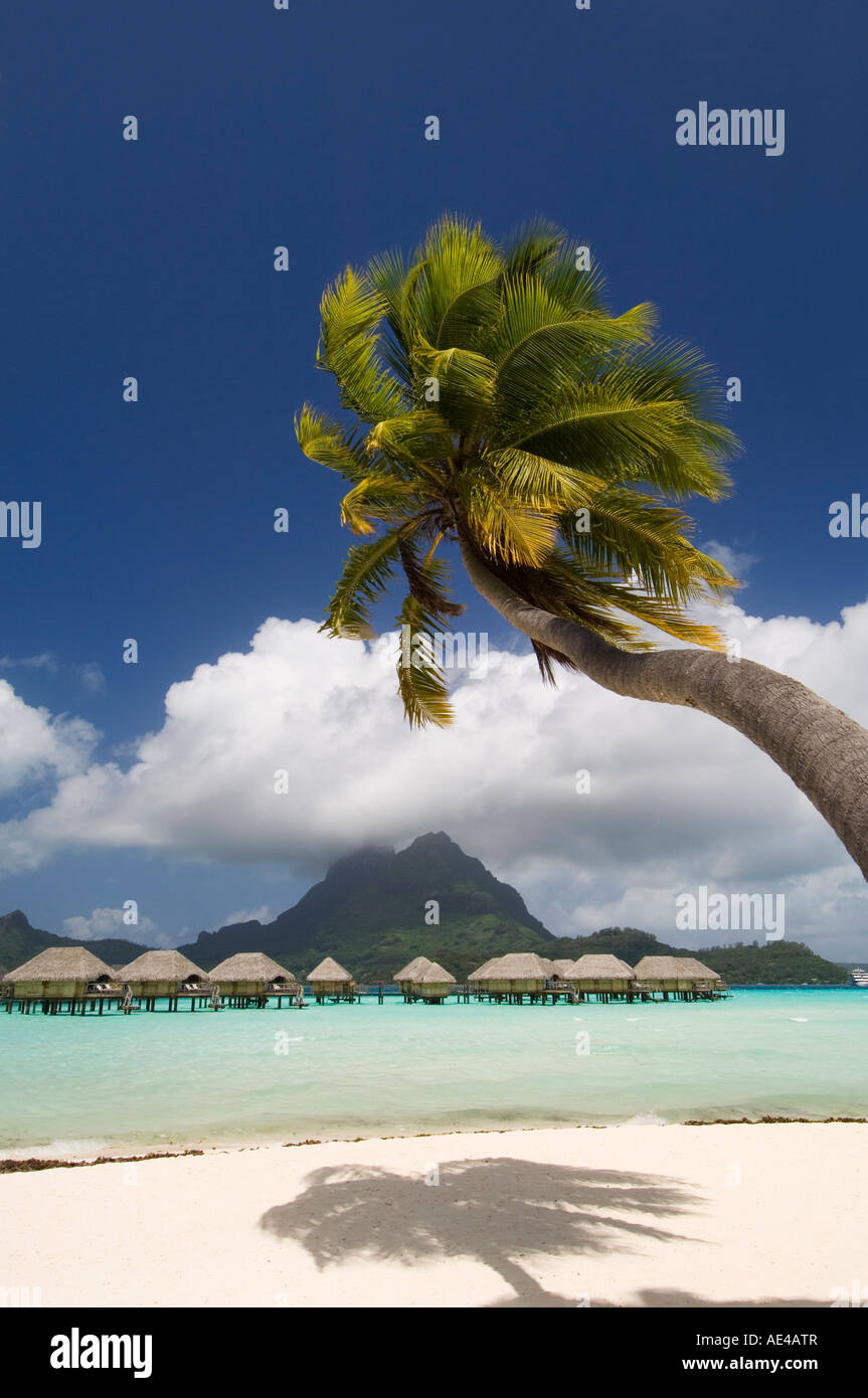 Pearl Beach Resort, Bora-Bora, Leeward group, Society Islands, French ...