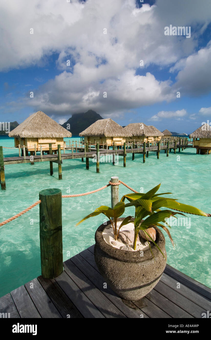 Pearl Beach Resort, Bora-Bora, Leeward group, Society Islands, French ...