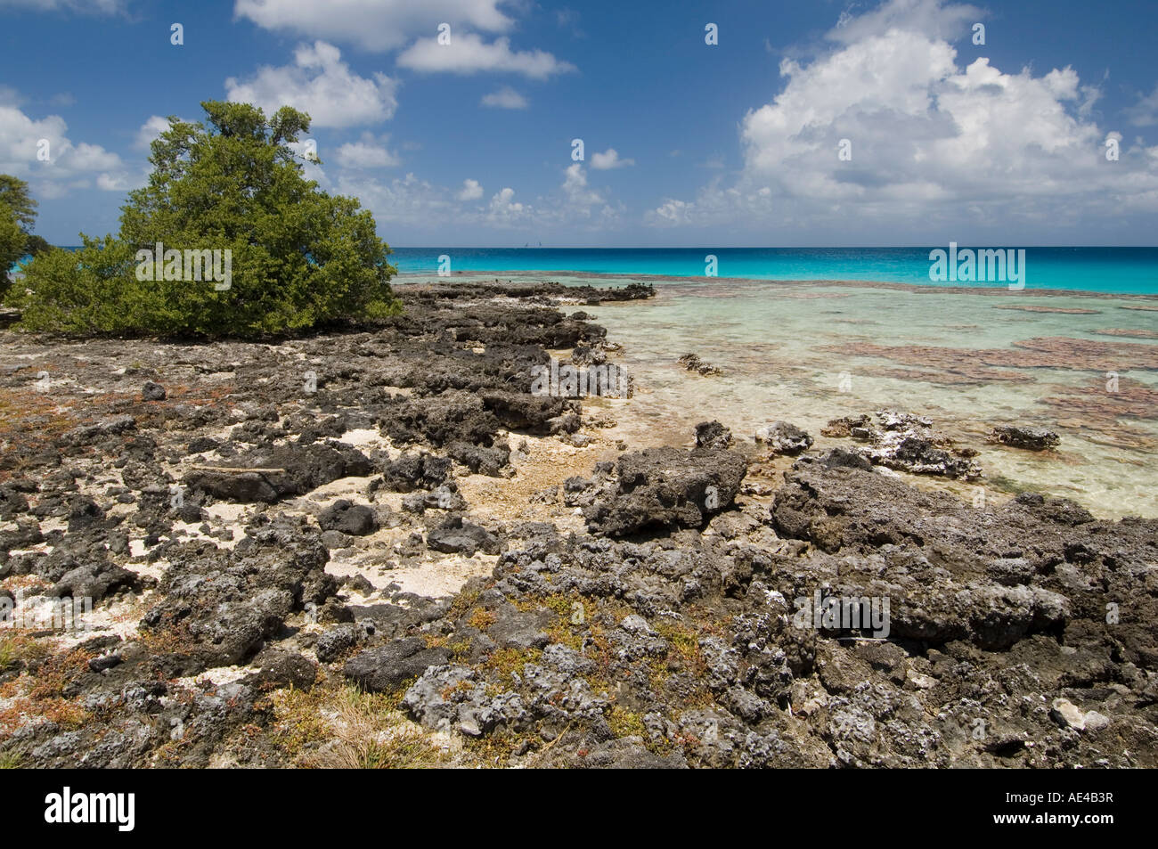 Bird Island, Tikehau, Tuamotu Archipelago, French Polynesia, Pacific ...