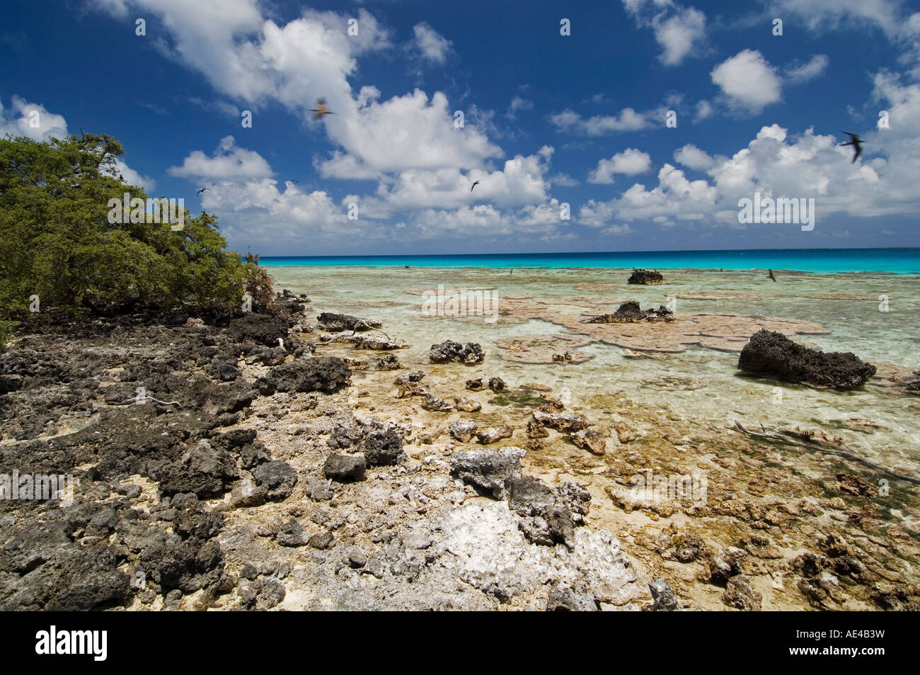 Bird Island, Tikehau, Tuamotu Archipelago, French Polynesia, Pacific ...