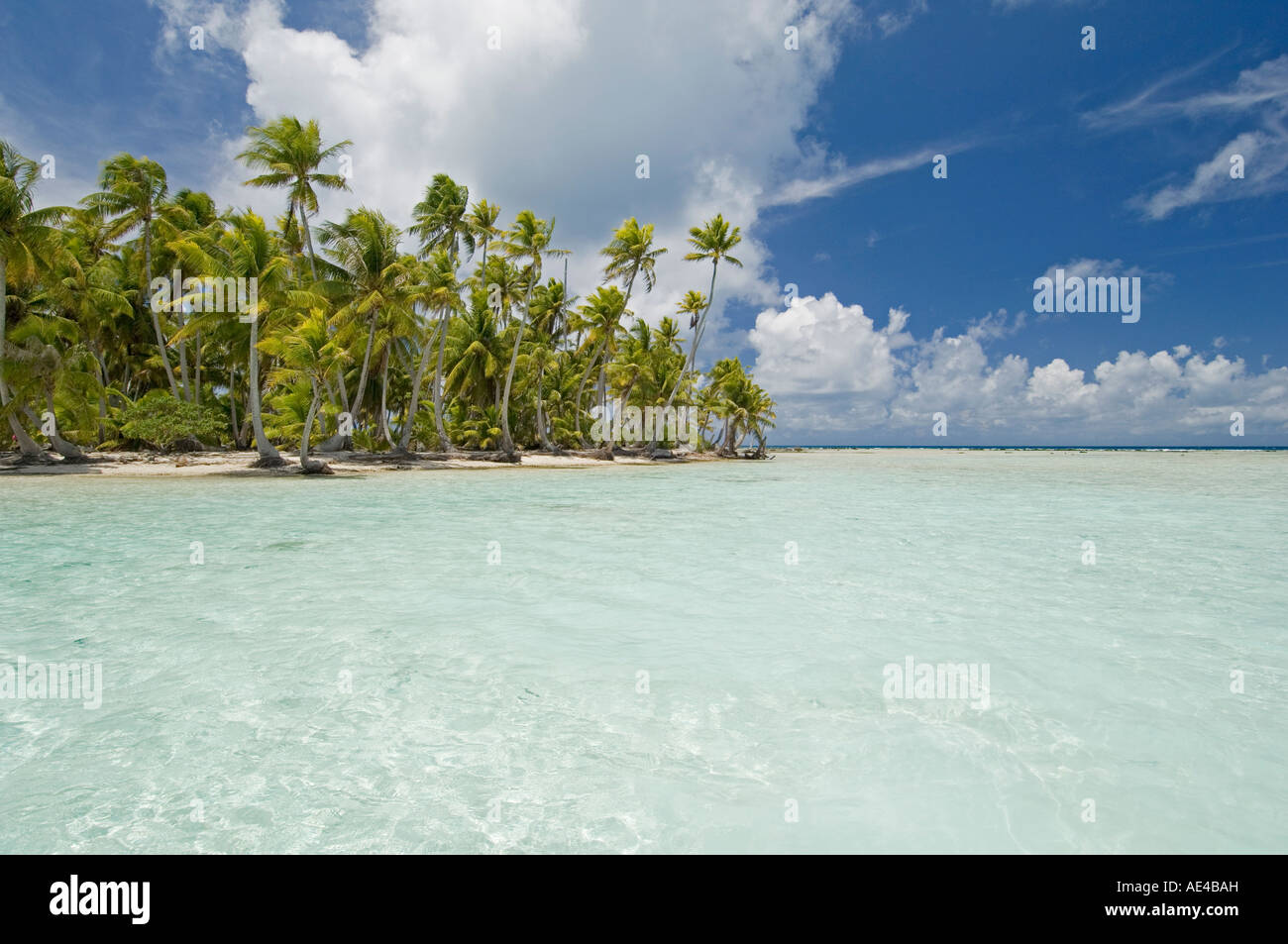 Blue Lagoon, Rangiroa, Tuamotu Archipelago, French Polynesia, Pacific ...