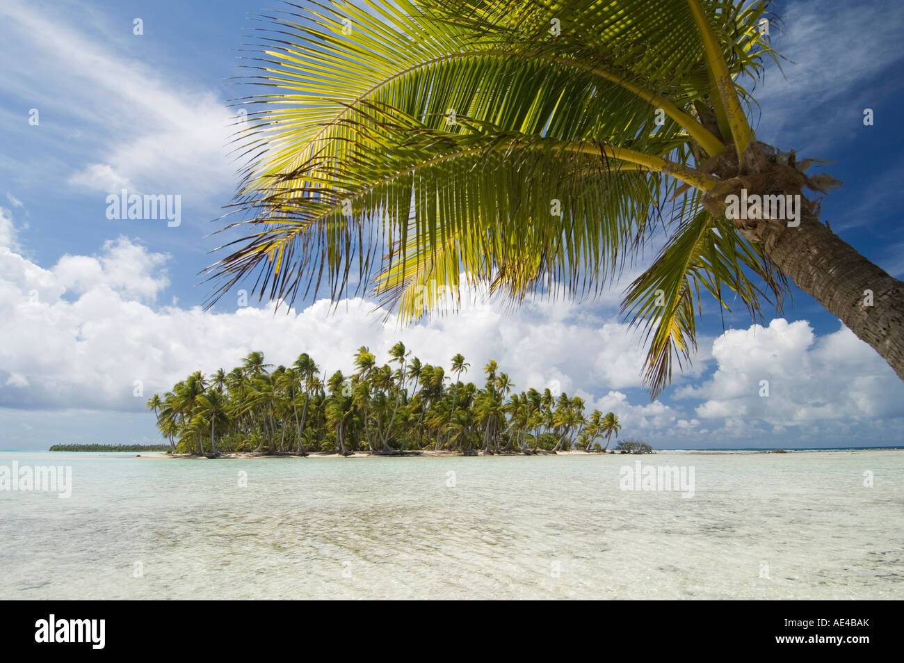 Blue Lagoon, Rangiroa, Tuamotu Archipelago, French Polynesia, Pacific ...