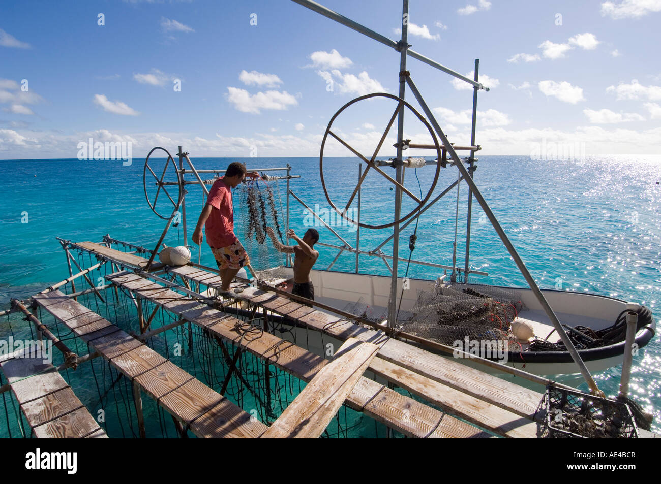 Hinano Black Pearl farm, Fakarawa, Tuamotu Archipelago, French ...