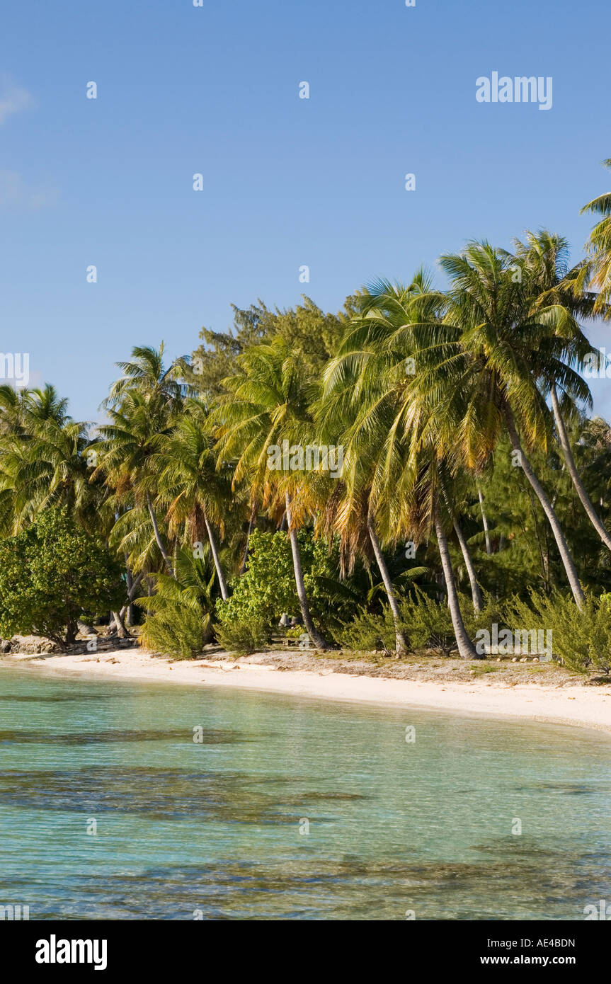 Fakarawa, Tuamotu Archipelago, French Polynesia, Pacific Islands ...