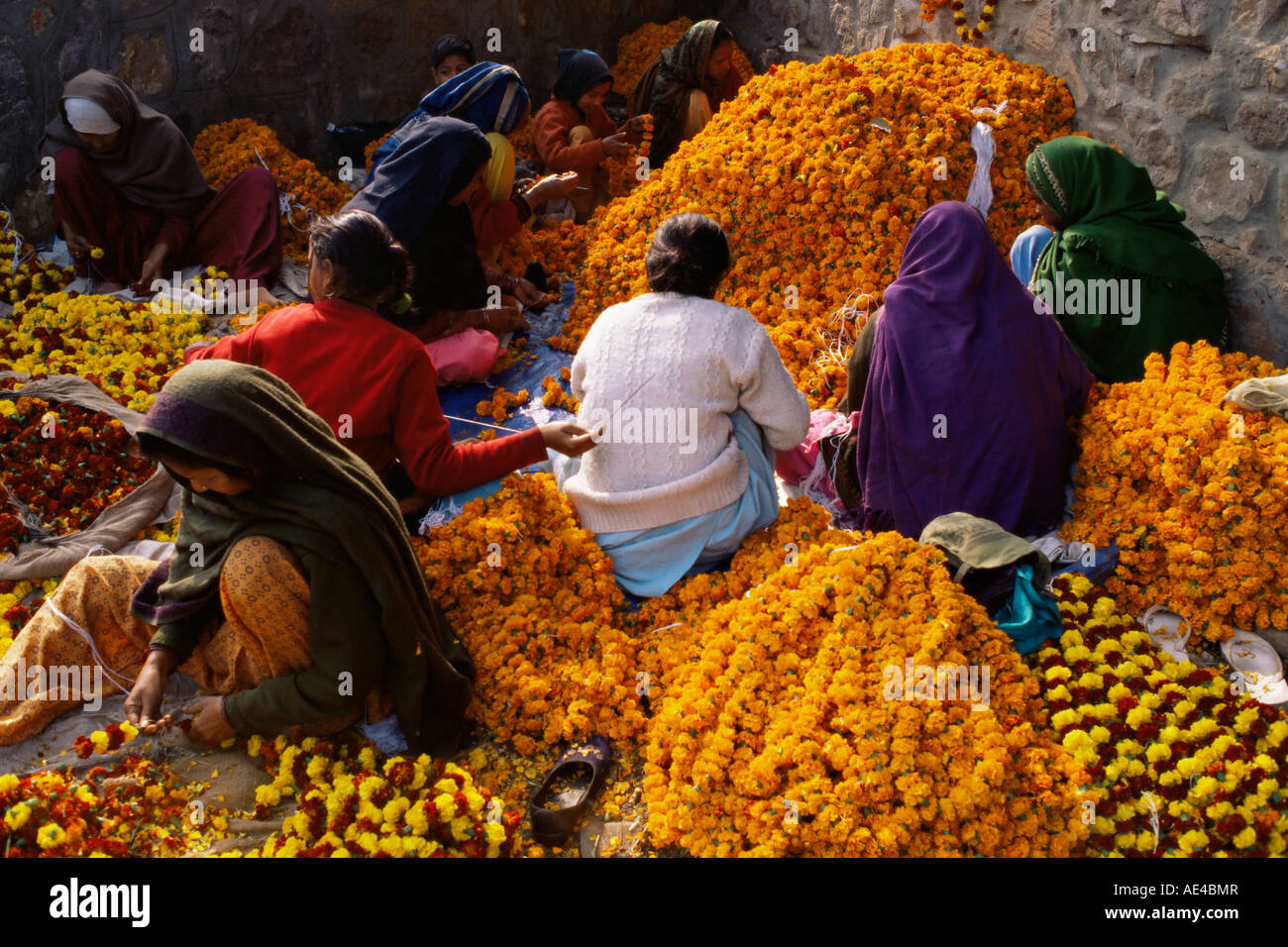 Flower market, Lado Sarai, Delhi, India, Asia Stock Photo - Alamy