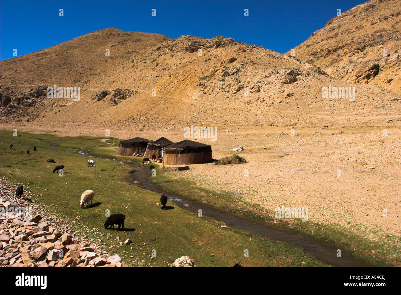 Aimaq hi-res stock photography and images - Alamy