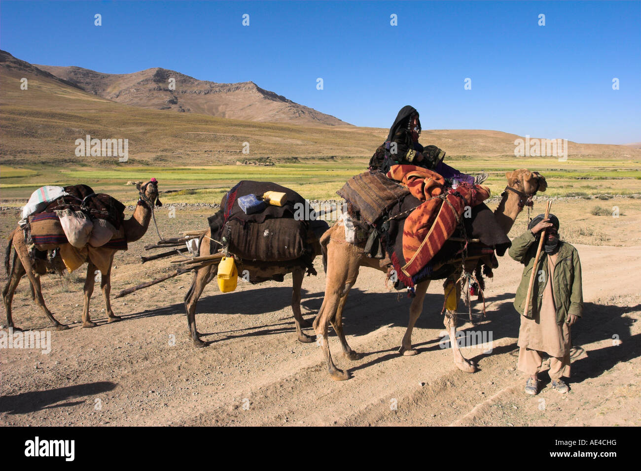 Kuchie nomad camel train, between Chakhcharan and Jam, Afghanistan ...