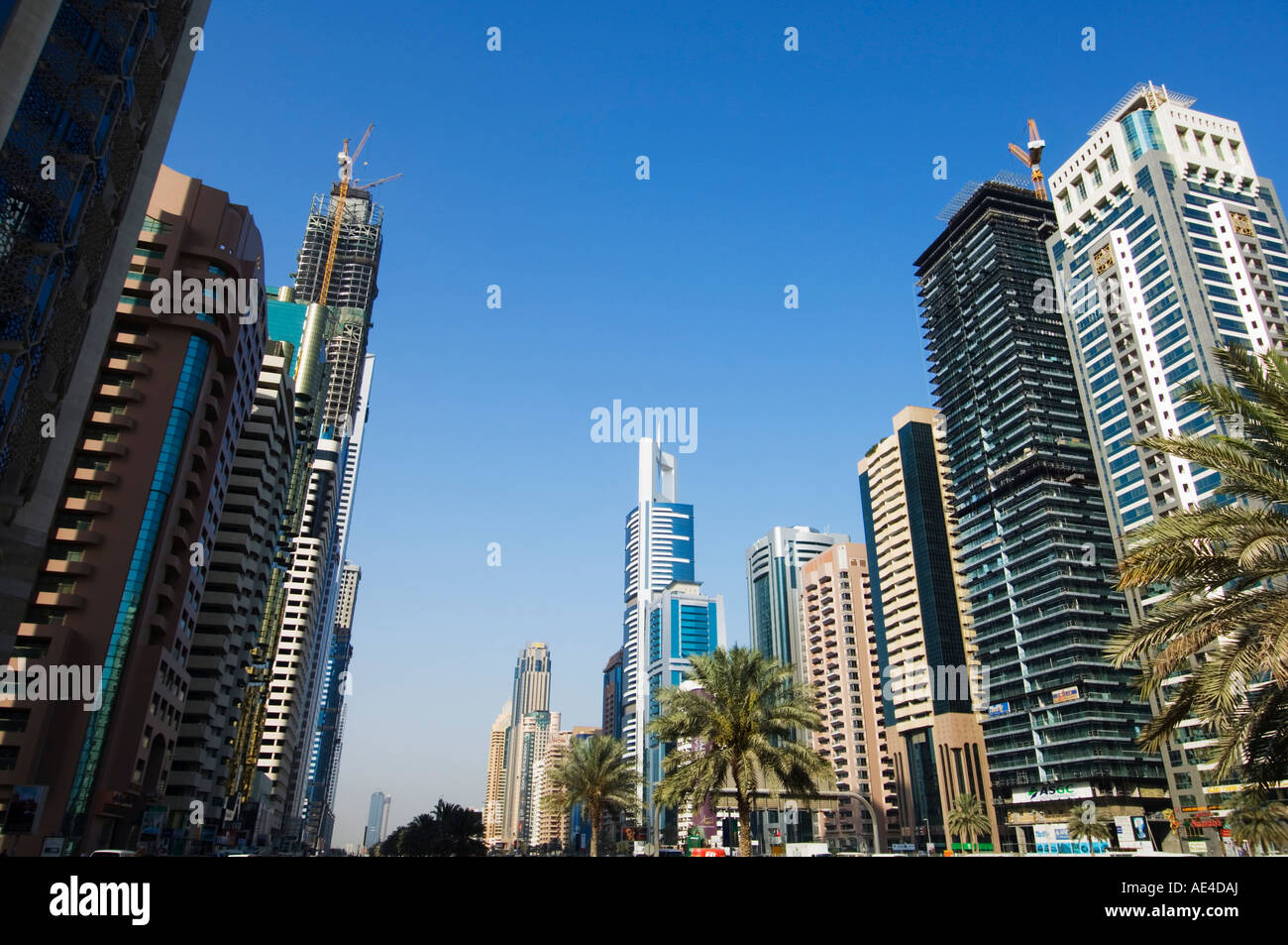 Sheikh Zayed, Dubai, United Arab Emirates, Middle East Stock Photo - Alamy