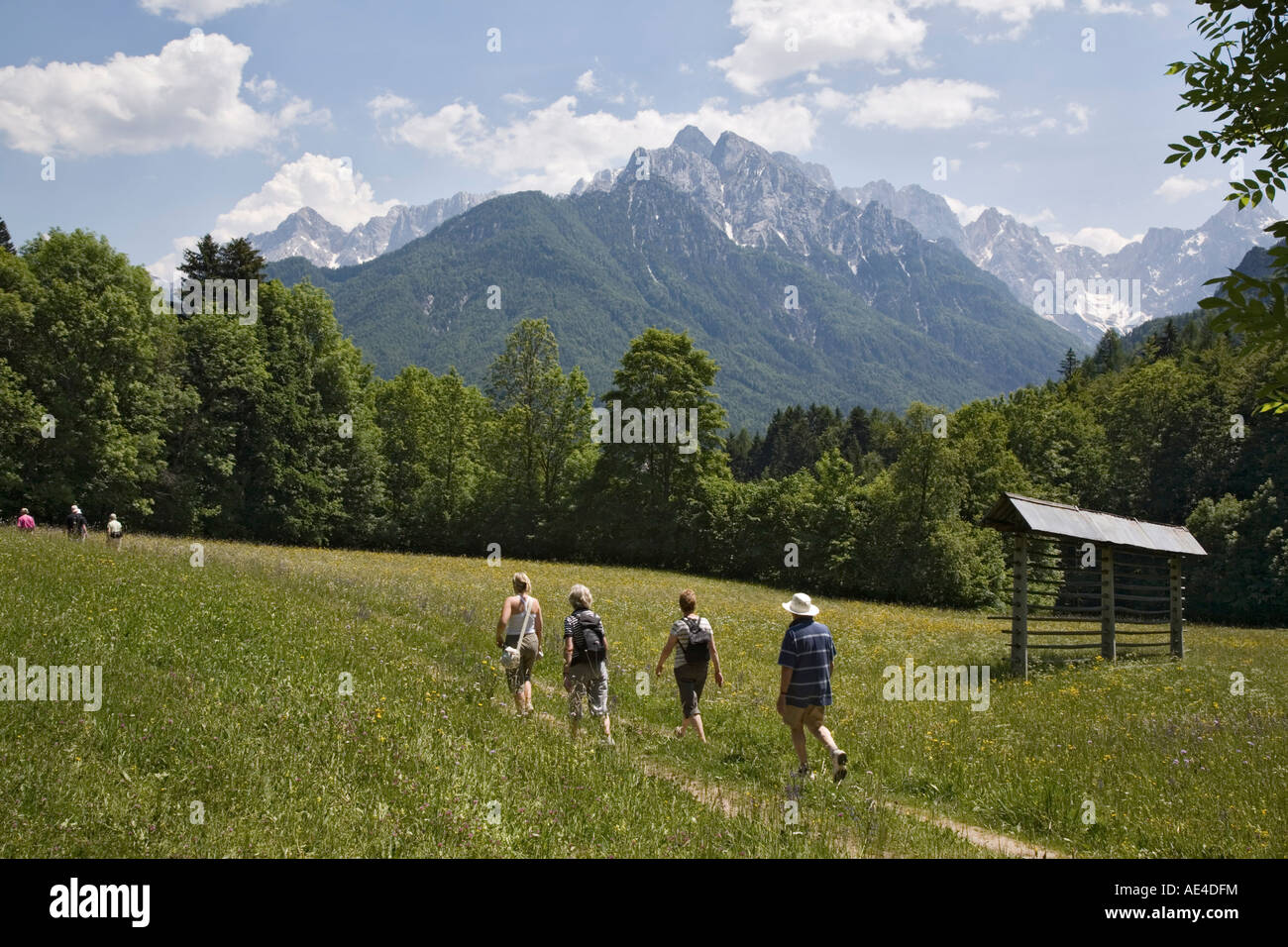 Slovenian hay rack hi-res stock photography and images - Alamy