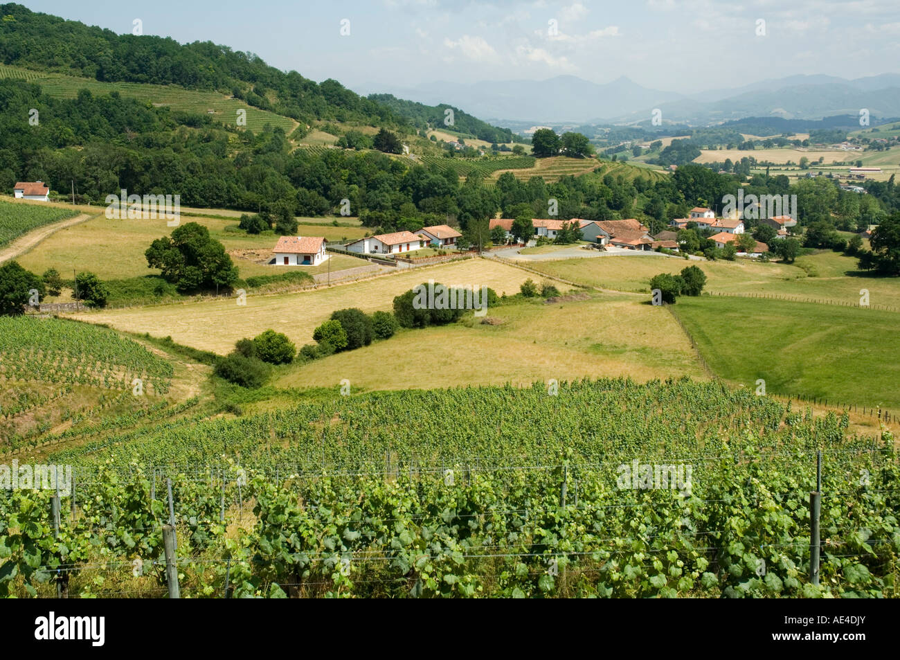 Countryside near St. Jean Pied de Port, Basque country, Pyrenees ...