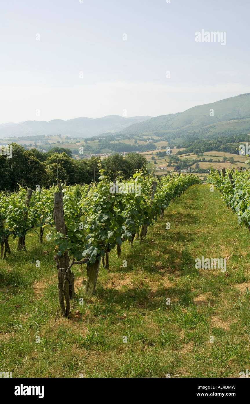 Countryside near St. Jean Pied de Port, Basque country, Pyrenees ...