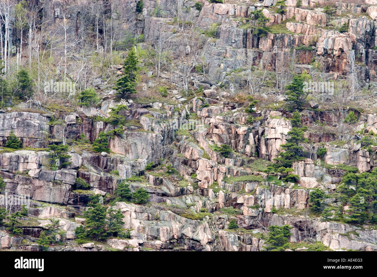 Rock face in national park hi-res stock photography and images - Alamy
