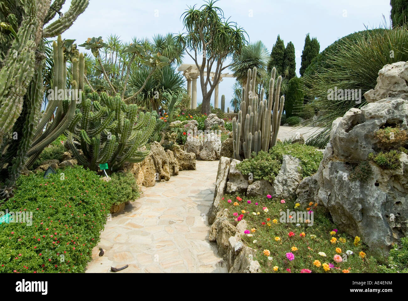 Jardin Exotique, Moneghetti, Monaco, Europe Stock Photo - Alamy