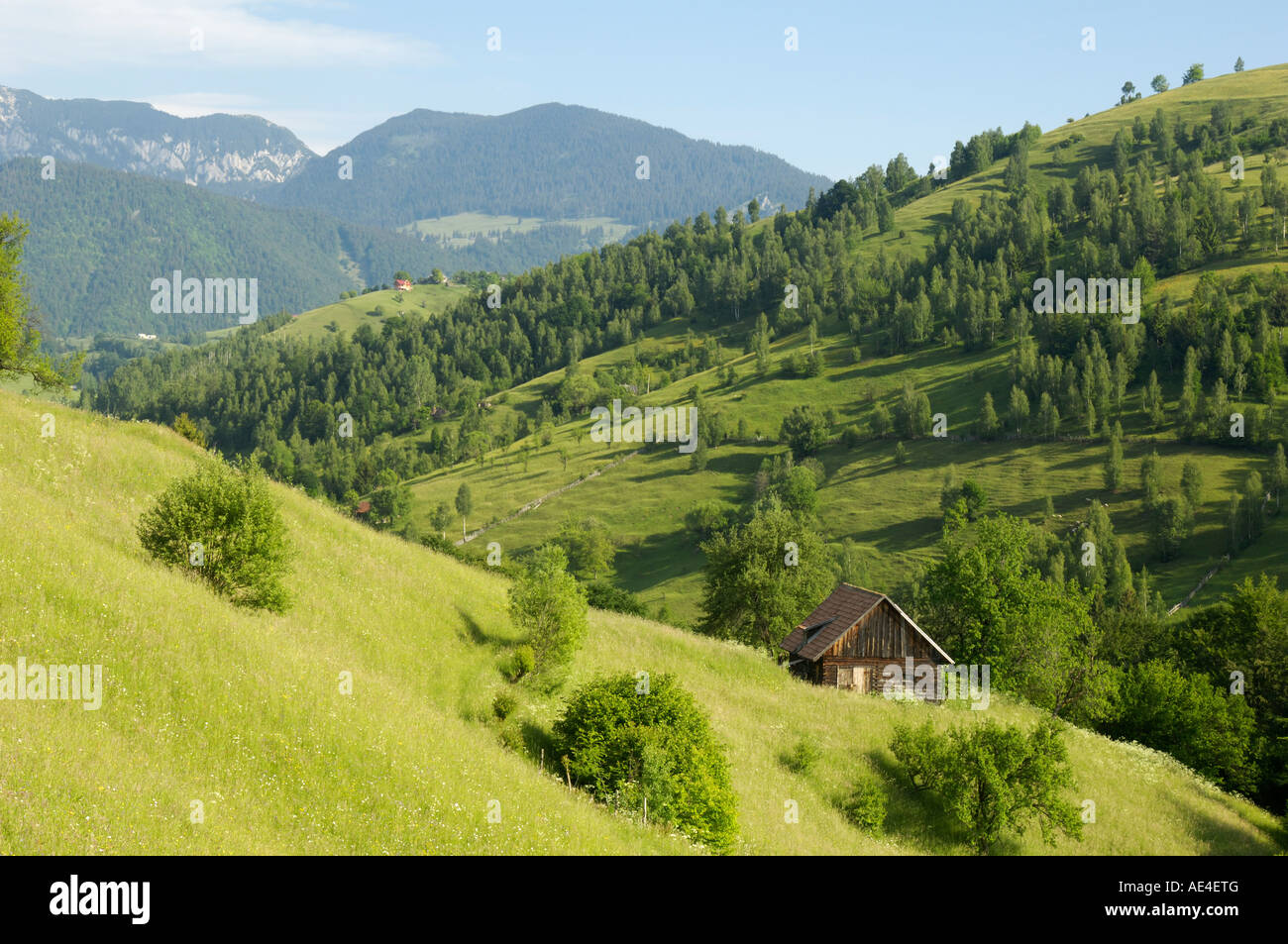 Transylvanian Alps, near Bran, Transylvania, Romania Stock Photo - Alamy