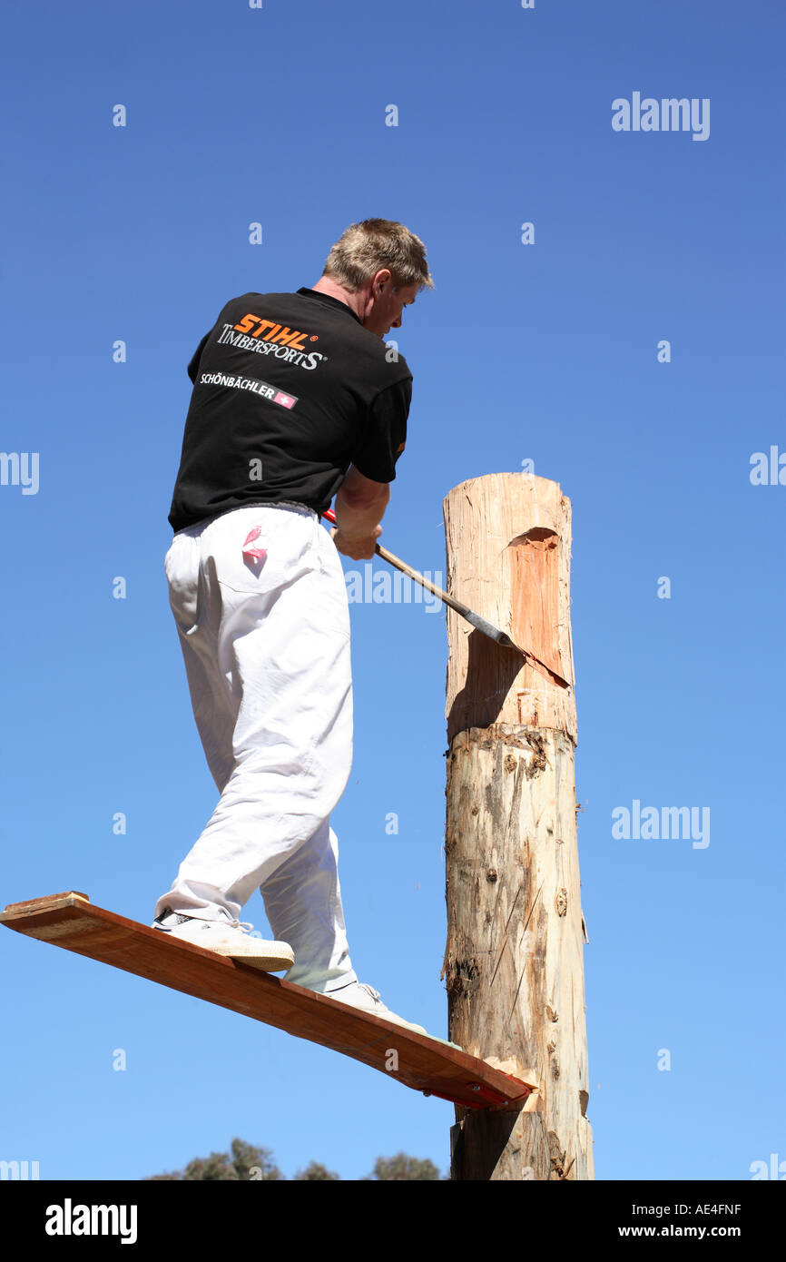 Wood chopping competition hi-res stock photography and images - Alamy