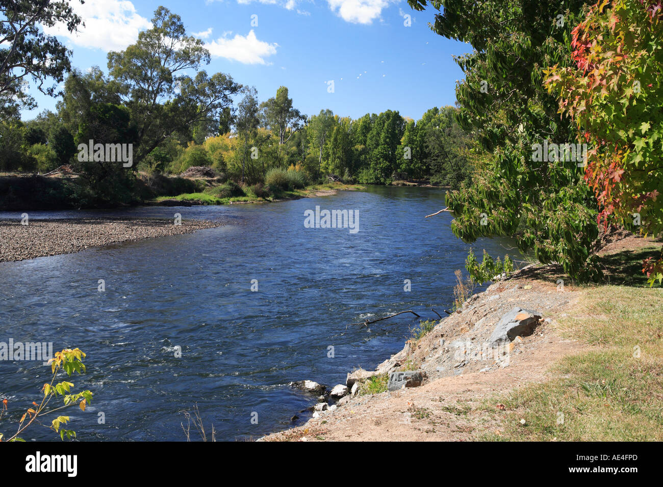 Gently flowing cold waters of Tumut river originating from the snowy ...