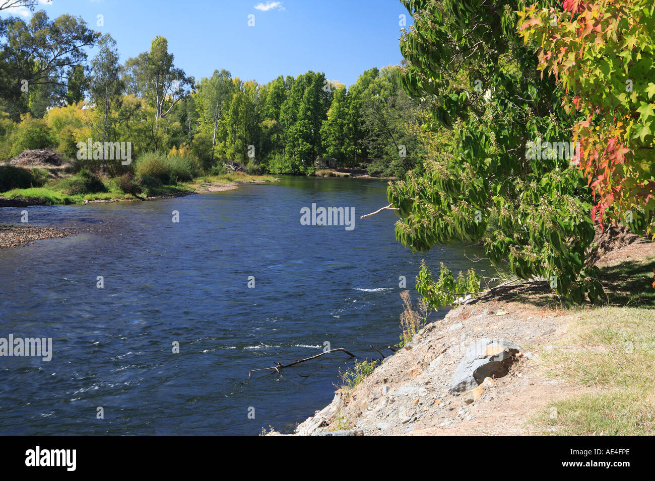 Gently flowing cold waters of Tumut river originating from the snowy ...