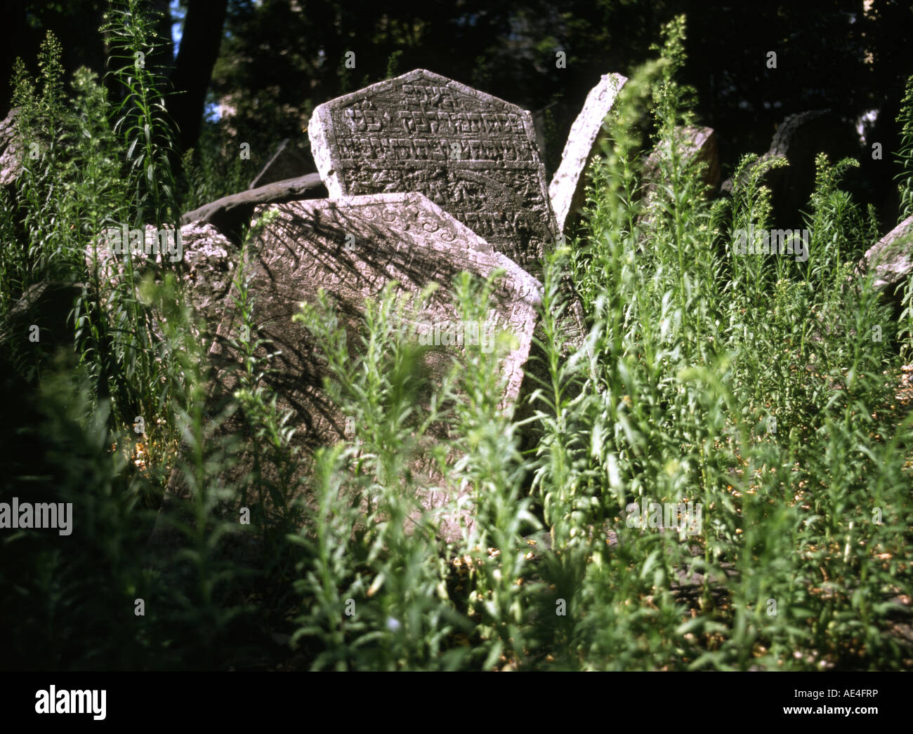 Prague czech cemetery old jewish medieval historical hi-res stock ...