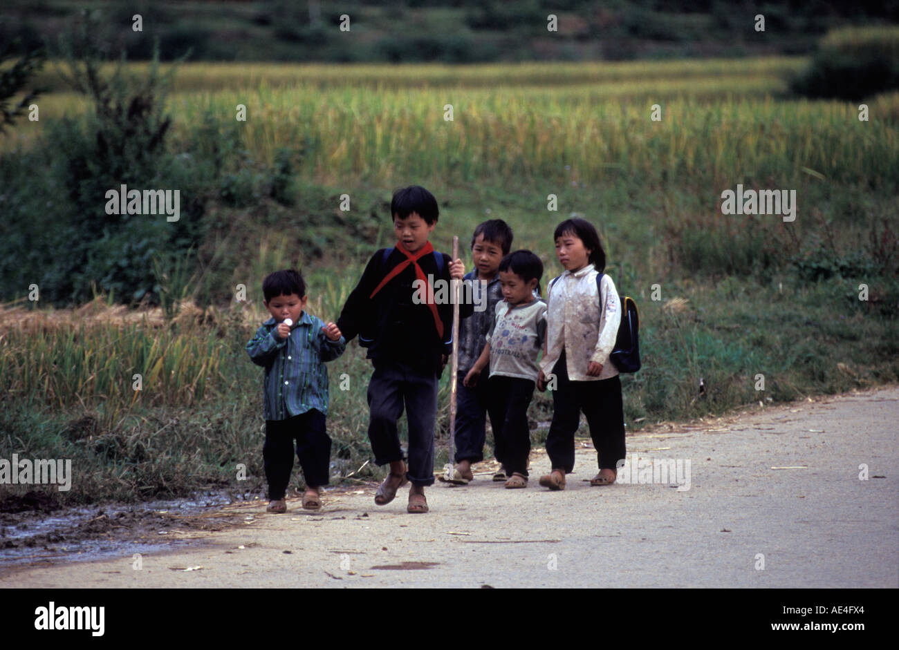 Indigenous Hmong Hill Tribe Children Stock Photo - Alamy