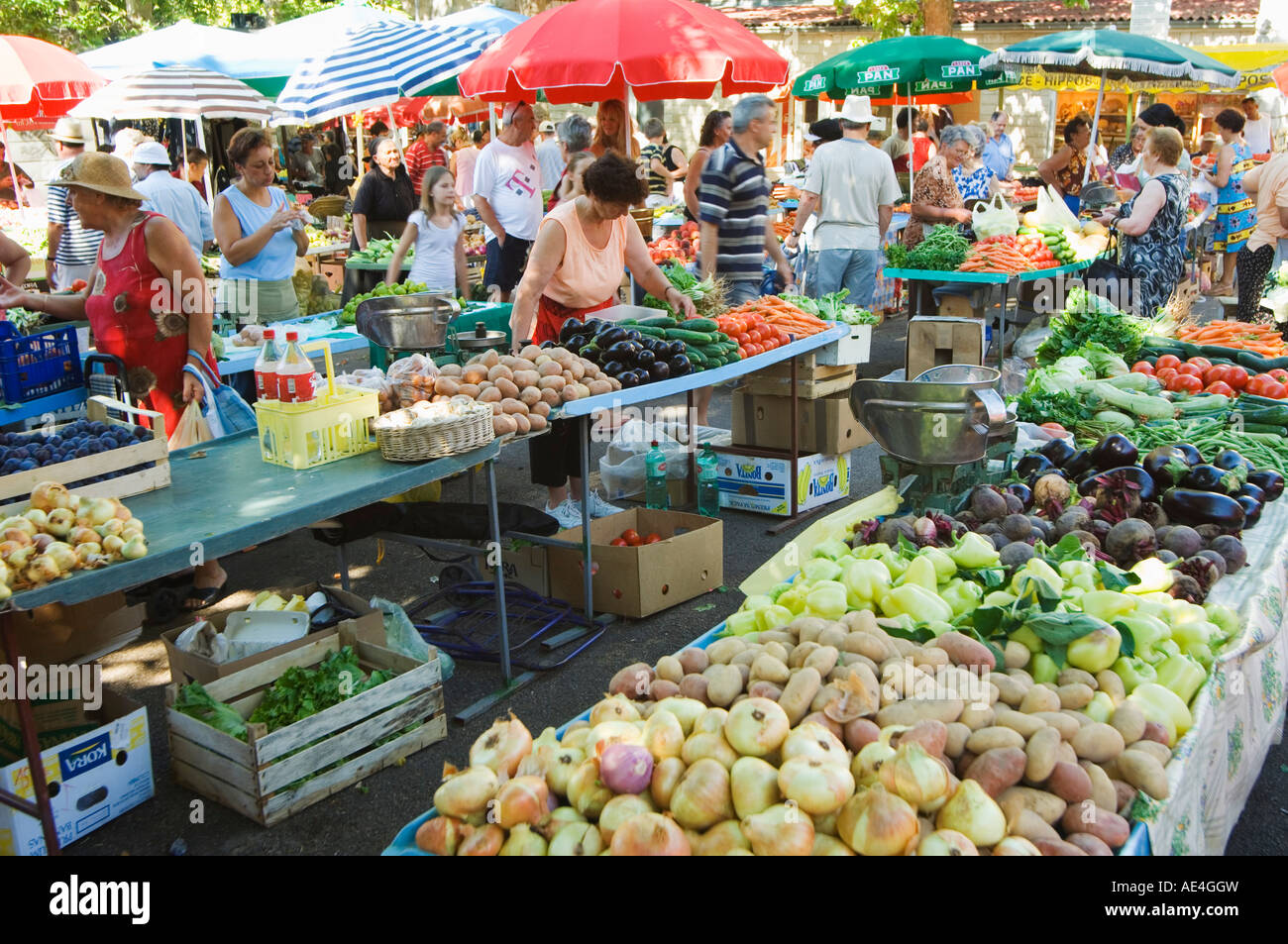 Fruit and vegetable market, Split, Dalmatia Coast, Croatia, Europe ...