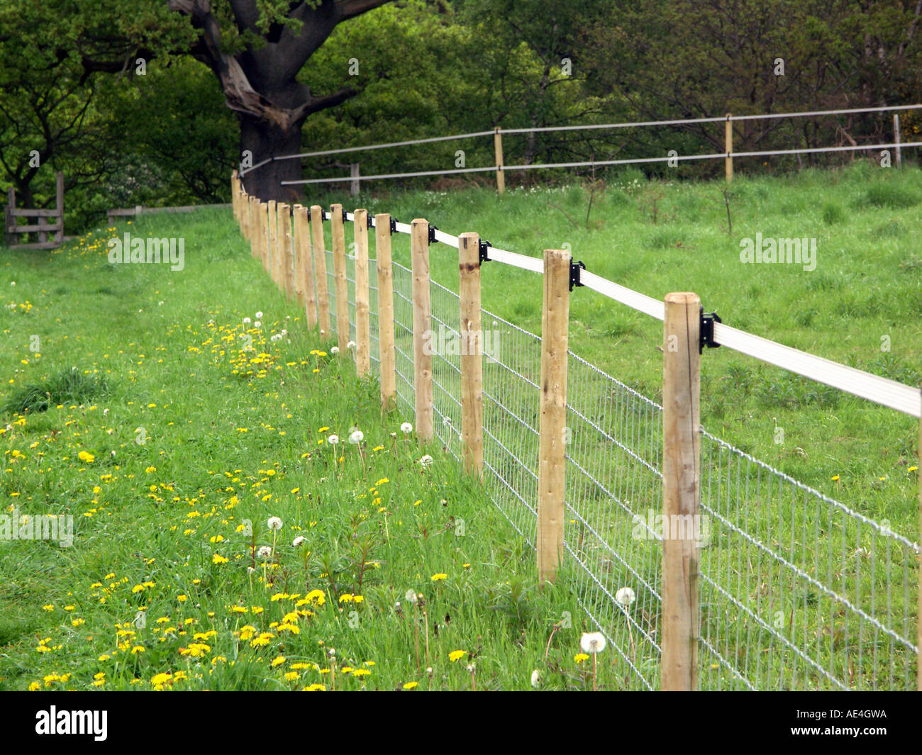 Shock electrified fence hi-res stock photography and images - Alamy