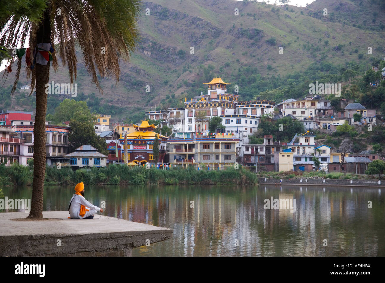 Sadhu,Tso Pema, Himachal Pradesh, India, Asia Stock Photo - Alamy