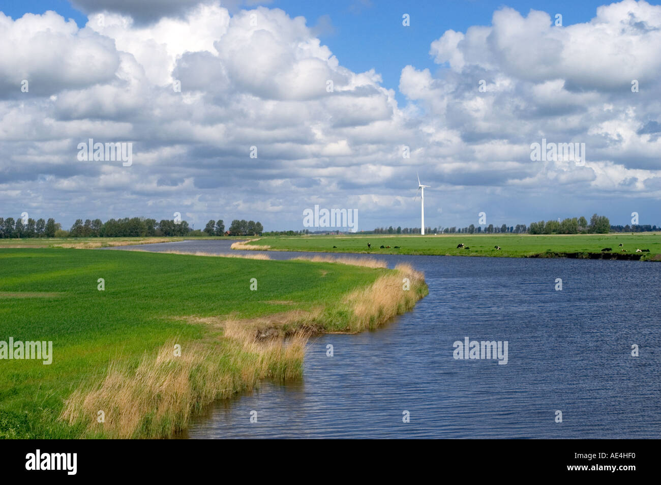 Typical friesian landscape Ostfriesland Niedersachsen Germany Stock ...